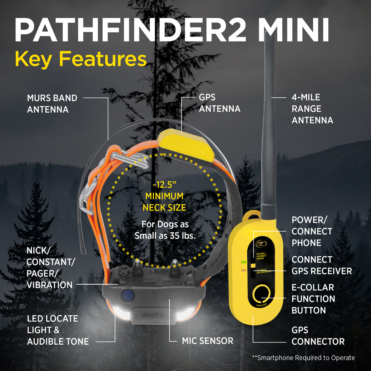 Dogtra Pathfinder 2 Mini – Nitehunters.com